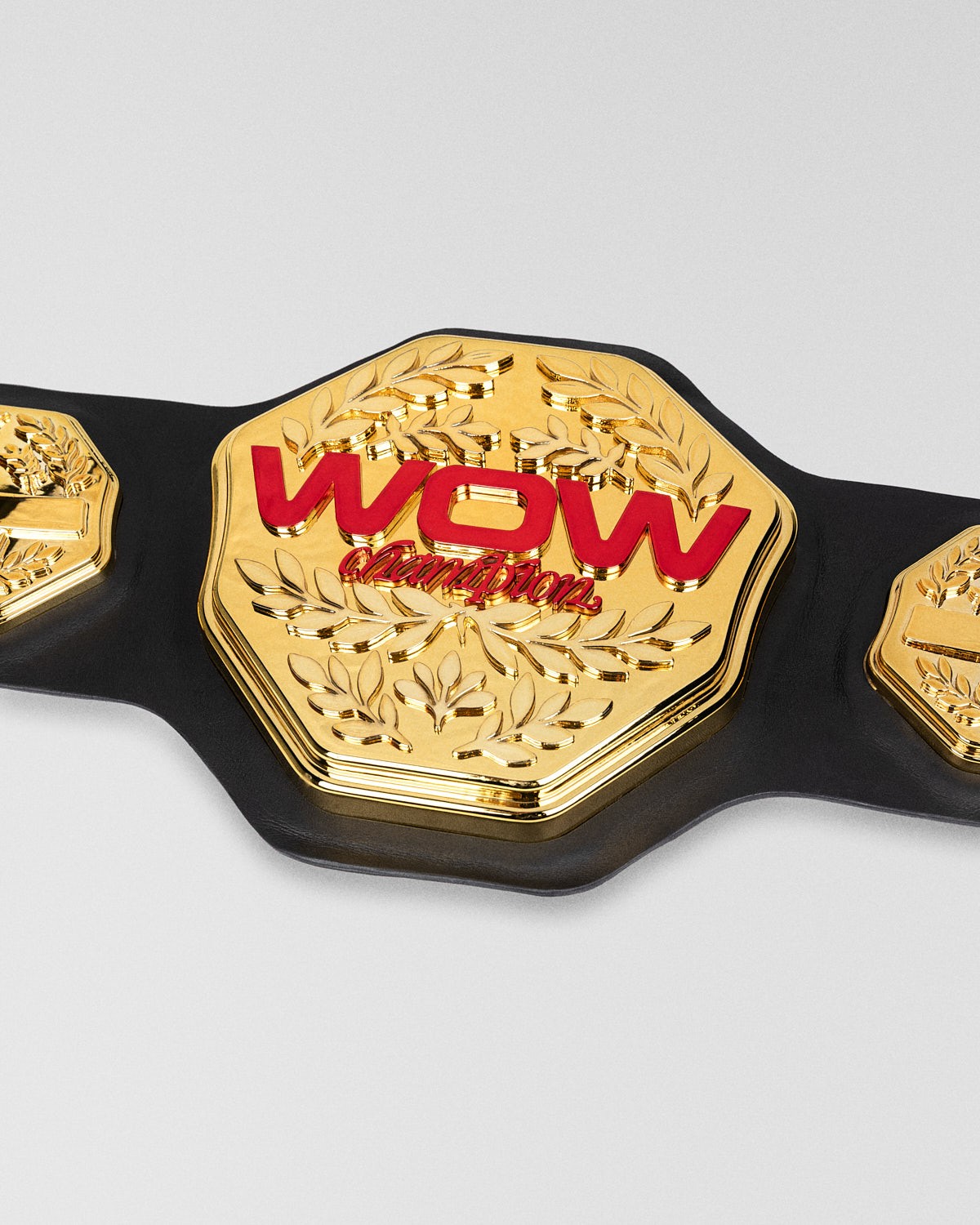 Ceinture WOW MMA, 2025